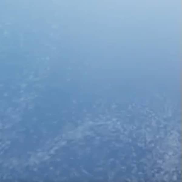 Fix Mac Cosmetics Official Site